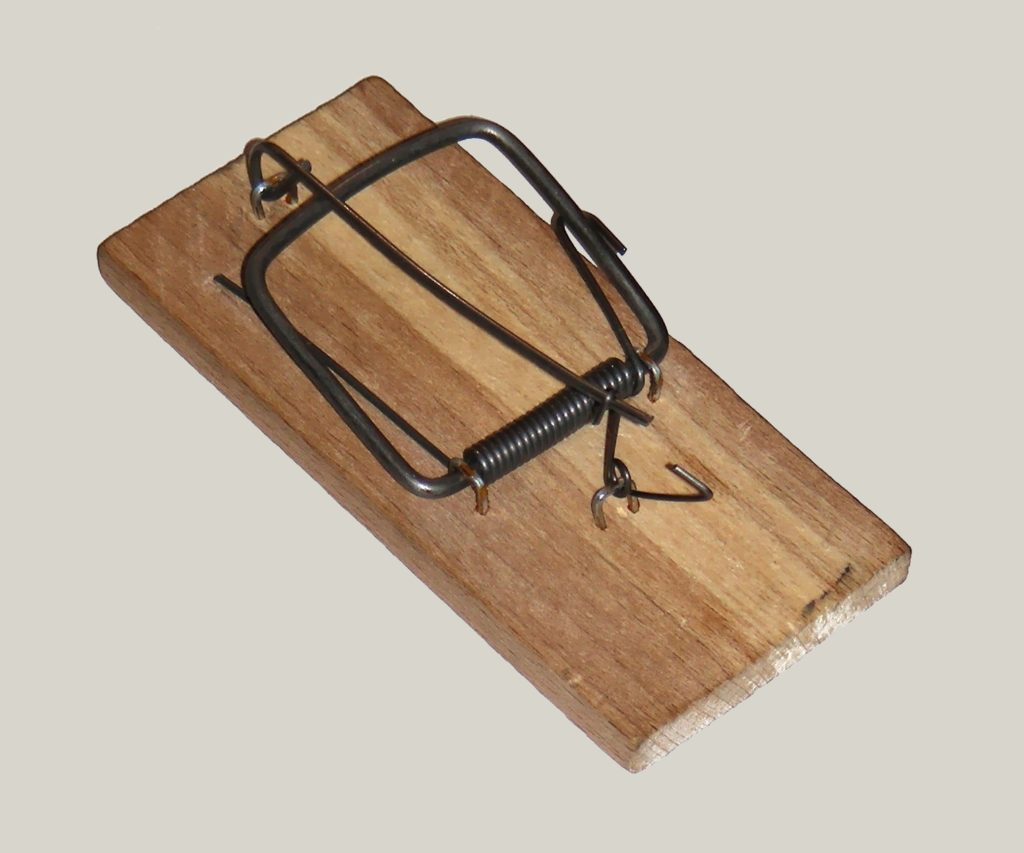 Wissenswertes zur Mausefalle – lebendfalle.net